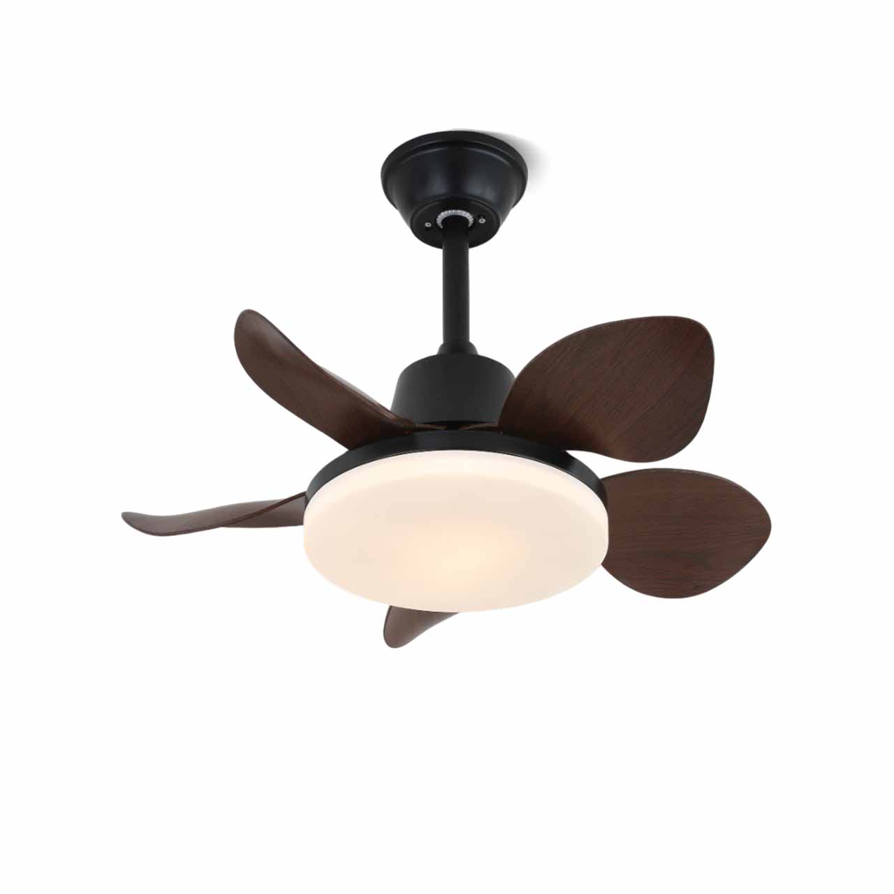 Amelia Ceiling Fan Light – Metavaya