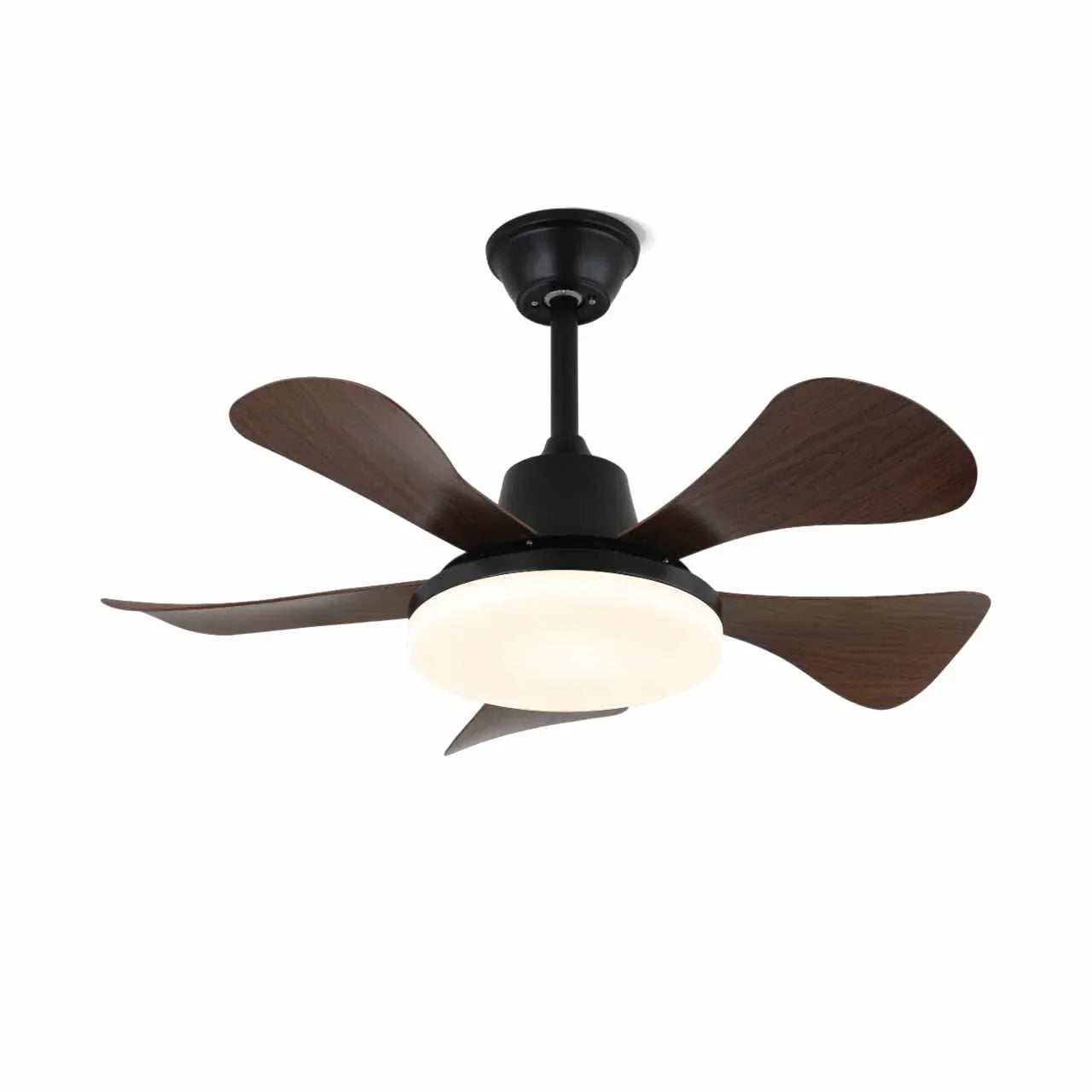 Eliza Ceiling Fan Light – Metavaya