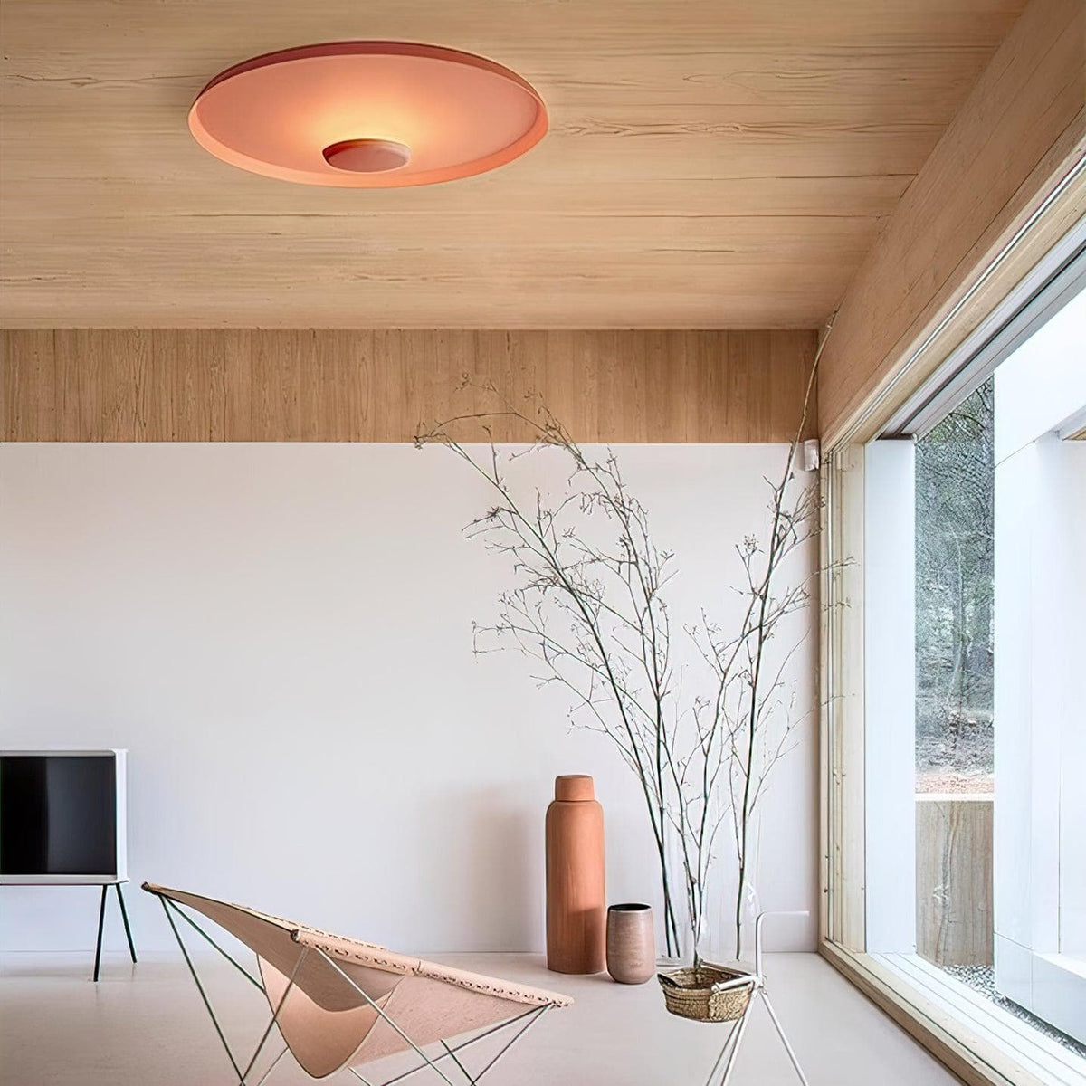 OLEV Overfly Plus Ceiling Light – Metavaya