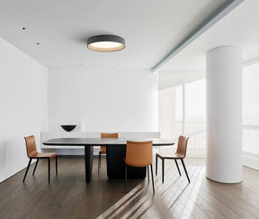 Duo Ceiling Lamp & Light Fixtures – Metavaya
