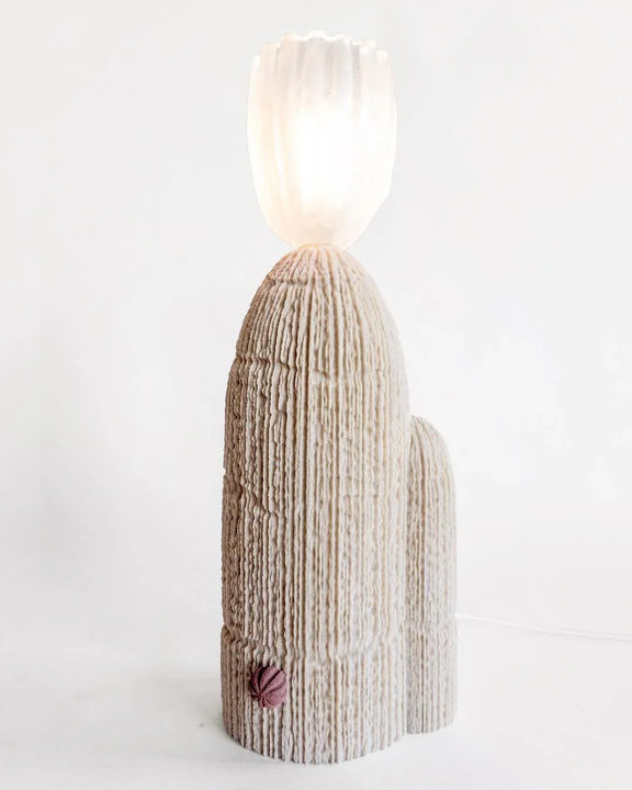 Shop RBS Cactus Table Lamp Online in USA – Metavaya